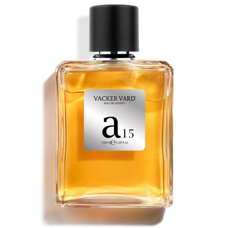 a15 Edp Erkek Parfüm 100ml – Vacker Vârd